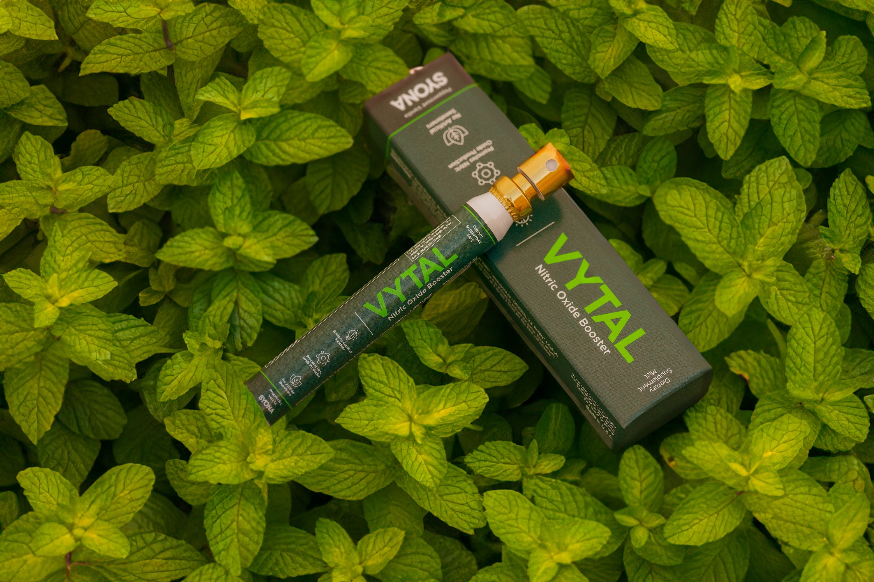 Información para afiliados profesionales